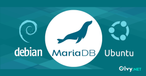 How to install MariaDB 10.6 on Debian 12 and Ubuntu 24.04 - Olvy Blog